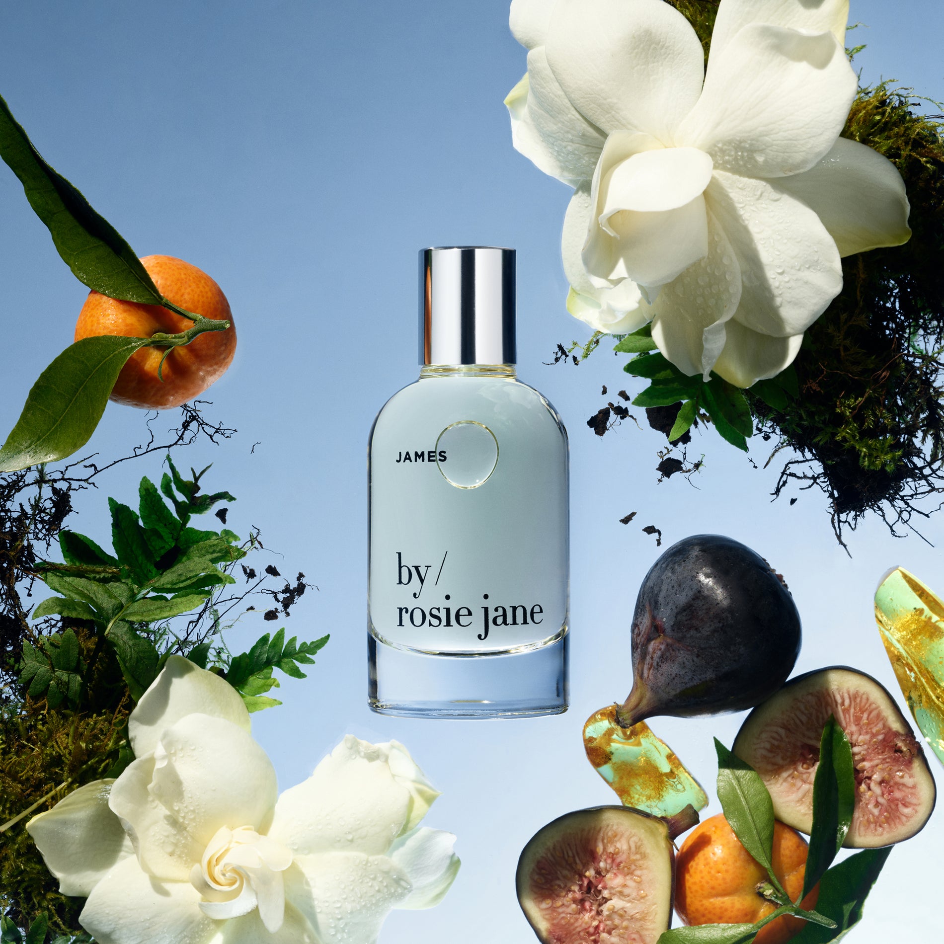 JAMES PERFUME – By Rosie Jane