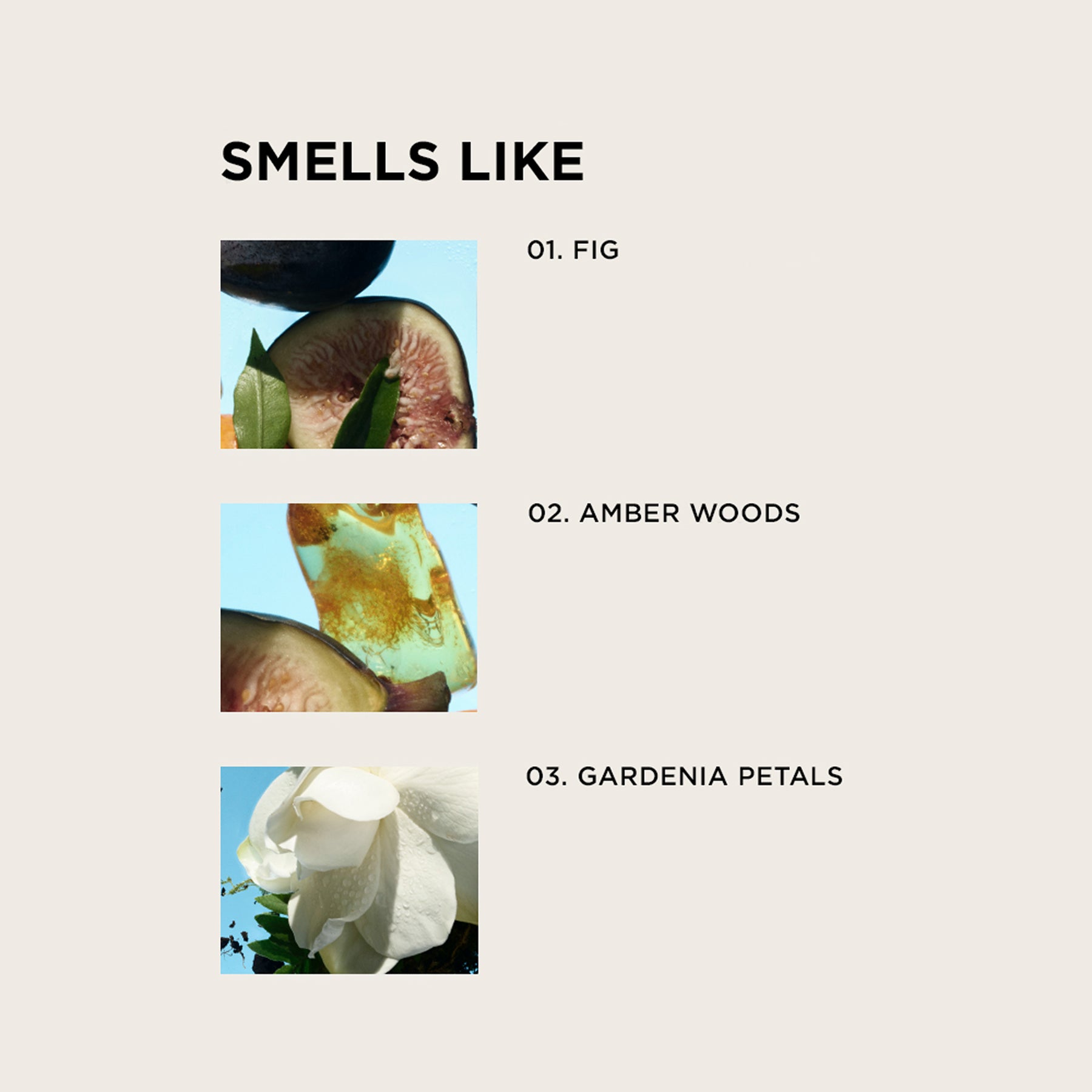 JAMES PERFUME – By Rosie Jane